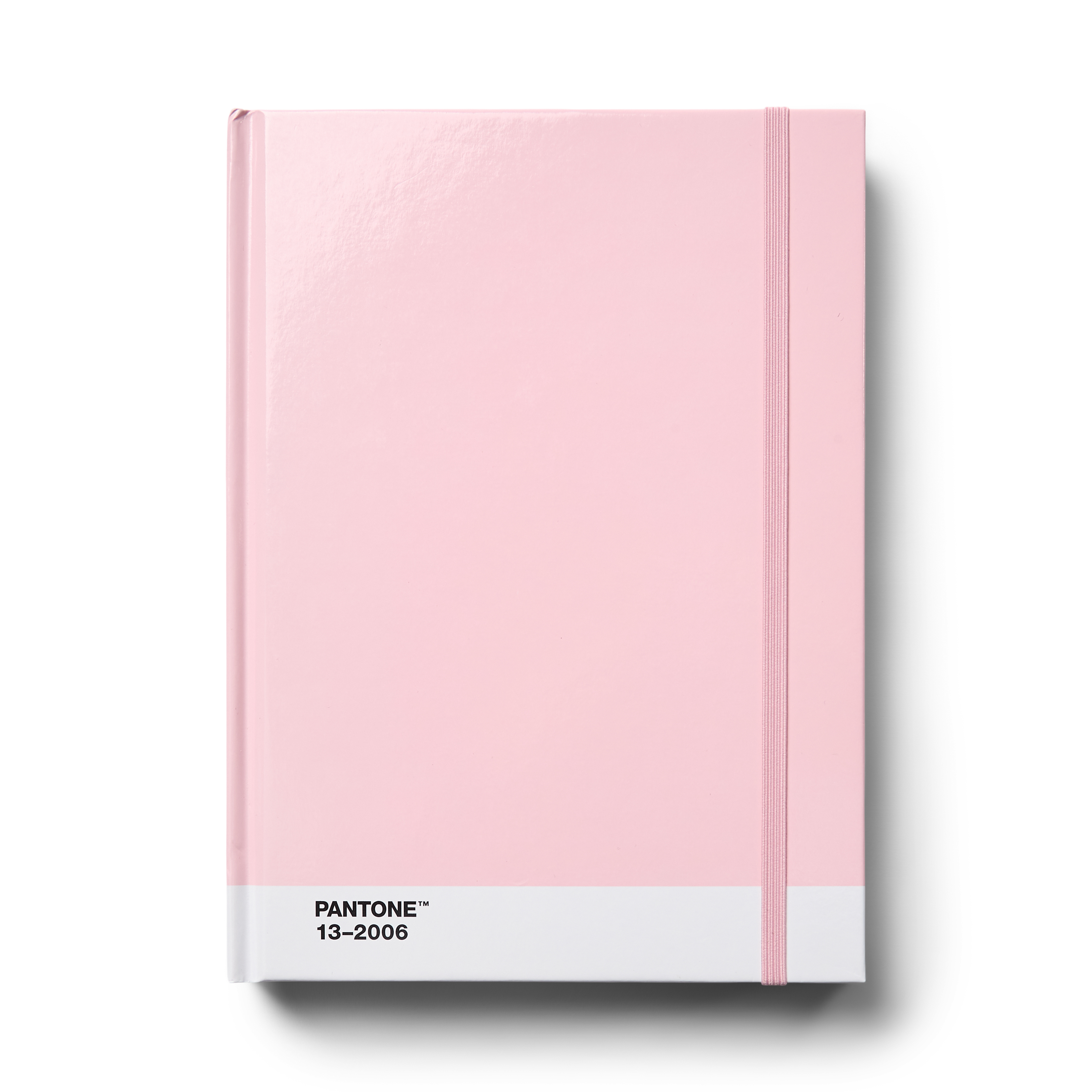 Pantone Notebook L Light Pink - 22x17 cm - 190 blz - Dotted | 32057245