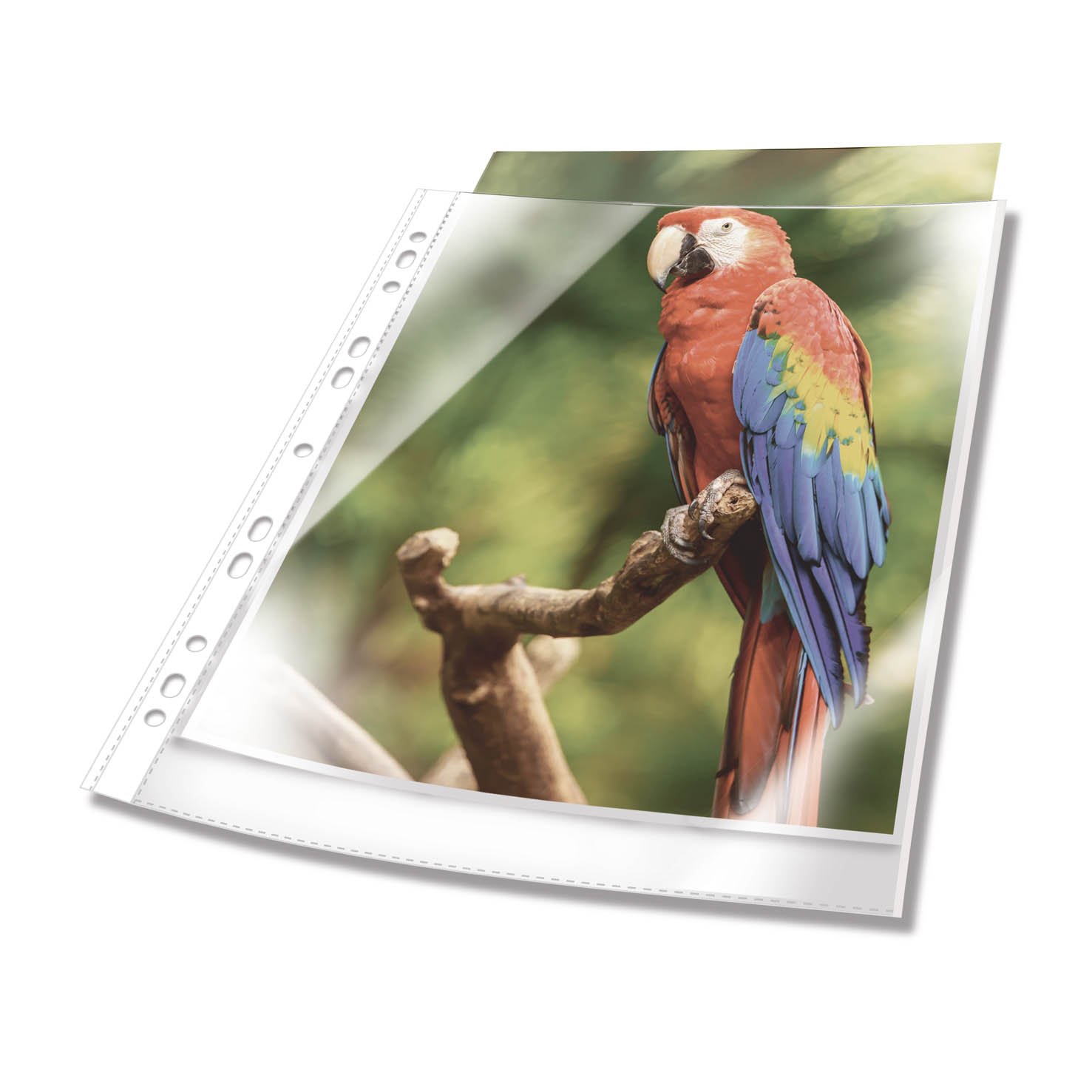 Durable Insteekmapjes A4 Premium Color 10 stuks - Wit