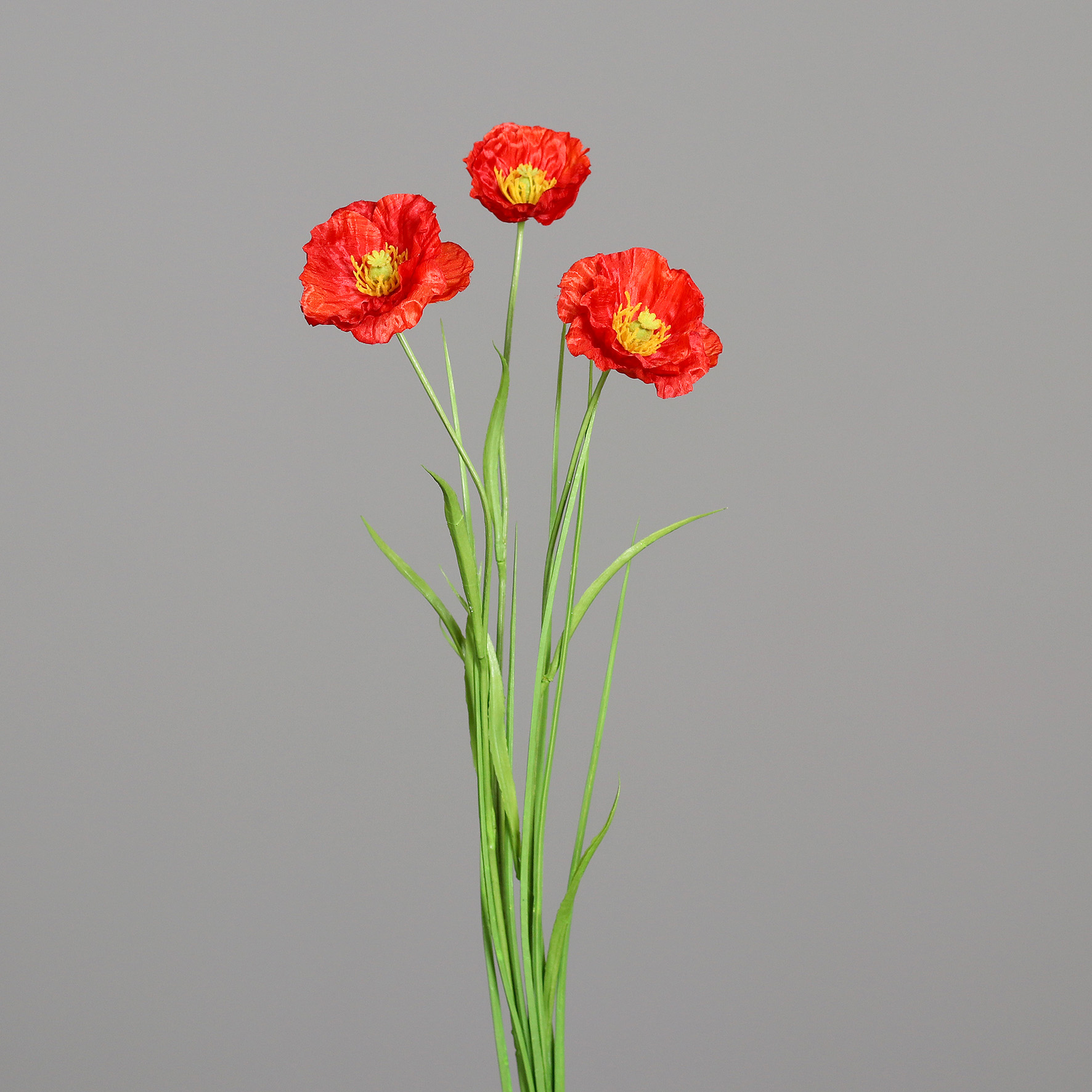 Papaver Rood 68cm - met 3 Bloemen en Gras | 32005622