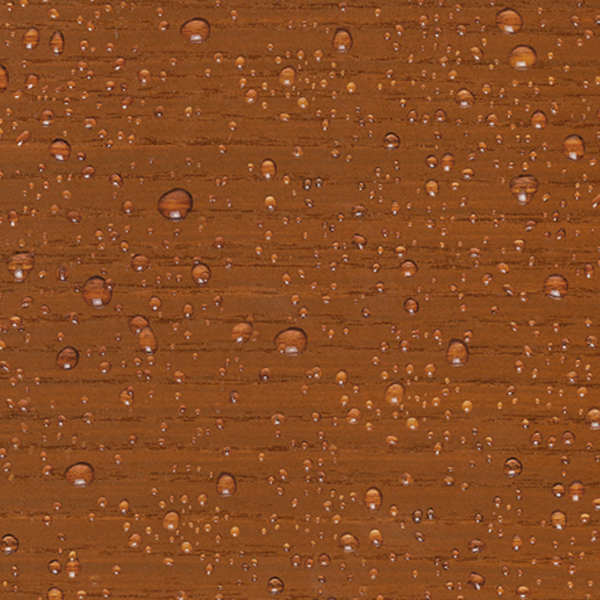 Xyladecor Tuinhoutbeits WP 5 l Lichte Eik