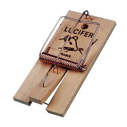 Lucifer Rattenval Houten Sokkel 9x17 cm